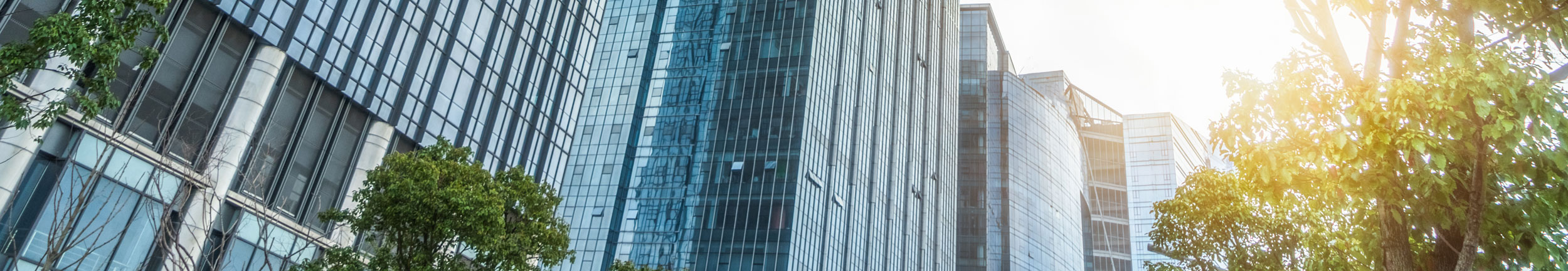 Services | Stornoway CP